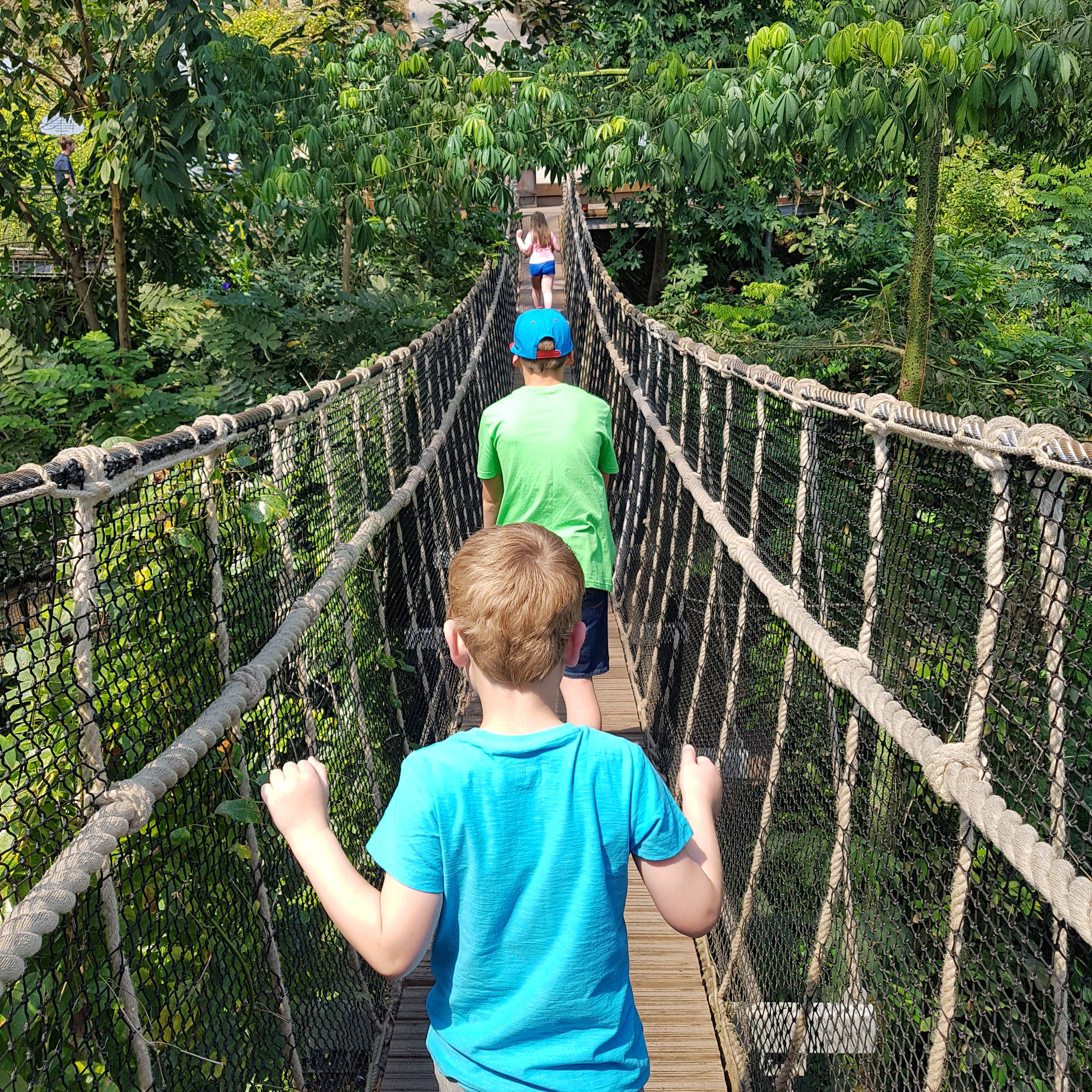 About – A Different Way To Go