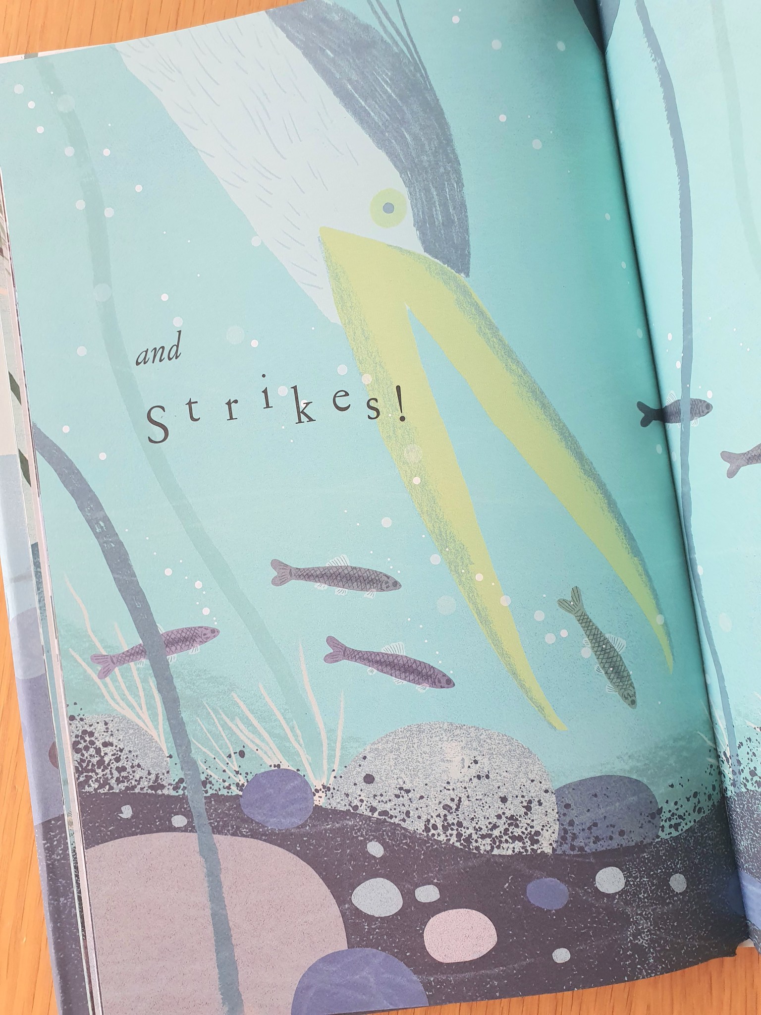 OVER AND UNDER THE POND – BOOK REVIEW – A Different Way To Go