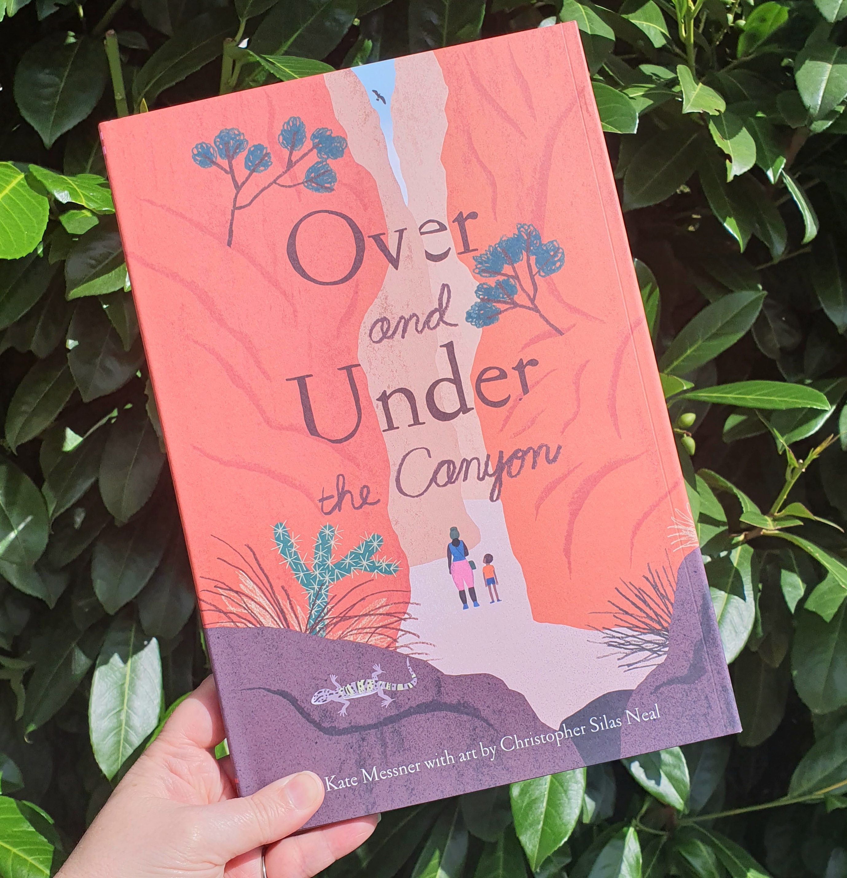 OVER AND UNDER THE CANYON – BOOK REVIEW – A Different Way To Go
