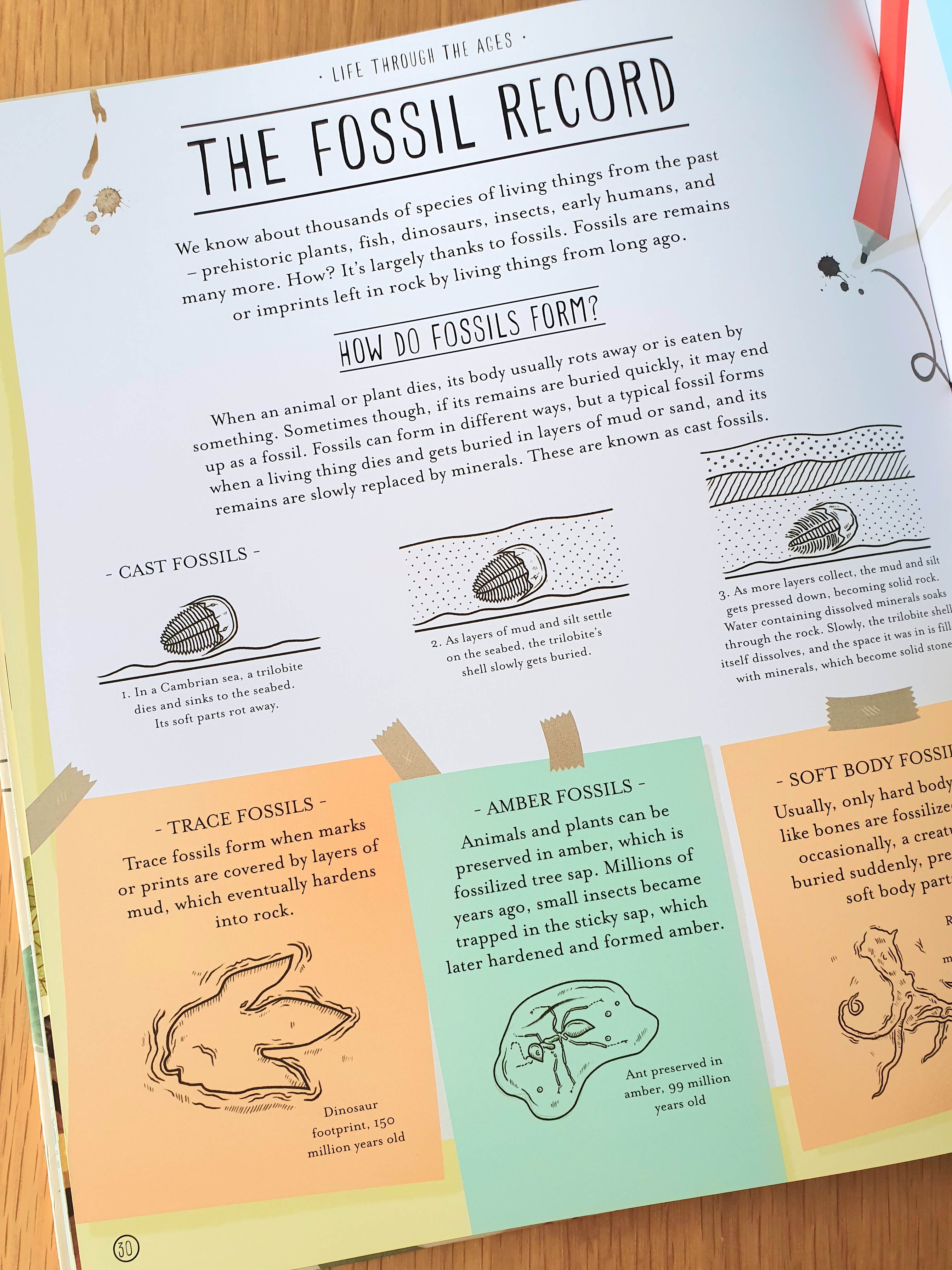 AMAZING EVOLUTION – BOOK REVIEW – A Different Way To Go