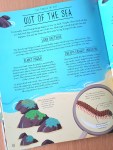AMAZING EVOLUTION – BOOK REVIEW – A Different Way To Go